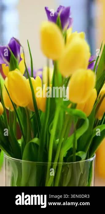 Yellow Tulips And Purple Irises Nestled In Glass Vase On Blurred Modern ...