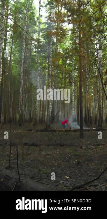 Quiet Burned Woodland With Fallen Log And Scattered Ash, Long Trunks ...