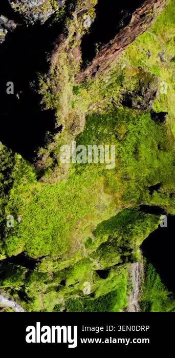Aerial Waterfall Cascading Through Mossy Canyon, Drone Reveals Narrow ...