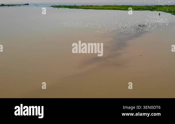 Wide aerial landscape showing muddy water, green marsh shoreline ...