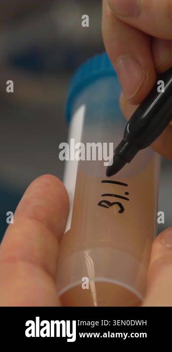 Closeup Hands Writing Date And Identifier On Sample Tube With Marker ...
