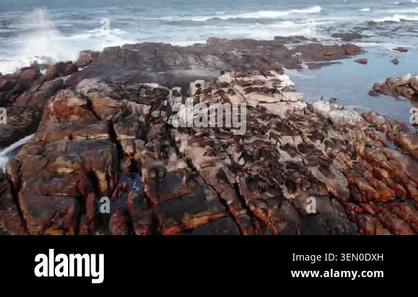 Wide overhead view of dark rocks surrounded by churning blue water ...