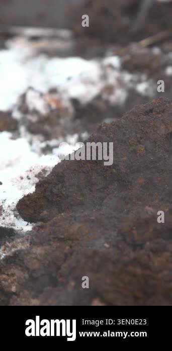 Dust Rising From Dark Soil Near Snow, Fine Particles Drifting After ...