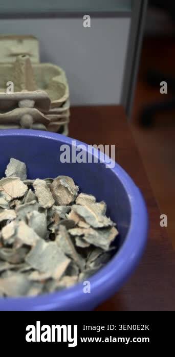 Bowl Of Eggshells On Desk, Stacked Cardboard Cartons Behind, Dried ...