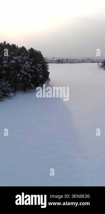 Sunrise Over Frozen Lake And Pines, Warm Glow On Cold Snow, Long Shadow ...