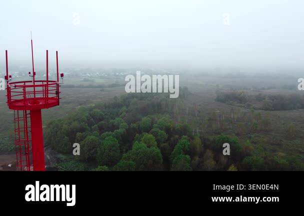 Wide elevated view of dense green treetops in the foreground, open ...