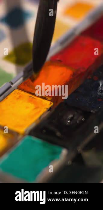 Closeup Watercolor Palette With Vibrant Pans, Dried Pigment And Subtle ...