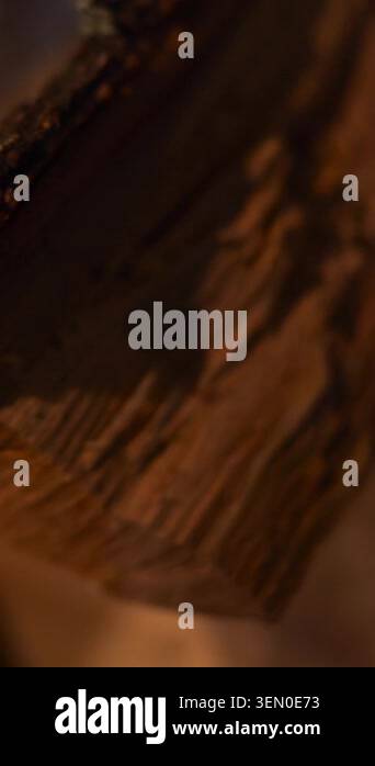 Closeup Stacked Firewood Bark Texture, Split Logs With Visible Grain ...
