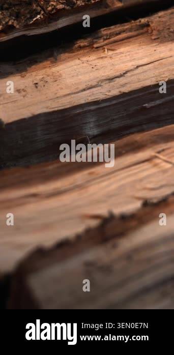 Close Up Seasoned Split Logs Stacked, Calm Winter Preparation With Dry ...