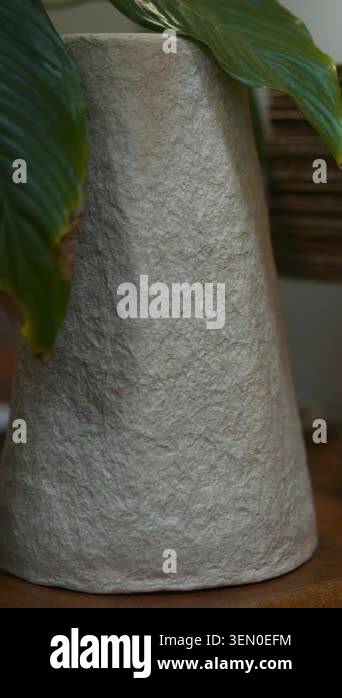 Textured White Vase And Cardboard Pedestal, Indoor Wooden Shelf Scene ...
