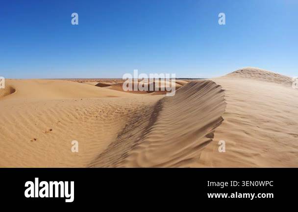 Wind shaped sand dunes at Ksar Ghilane, Tunisia, stretching across the ...