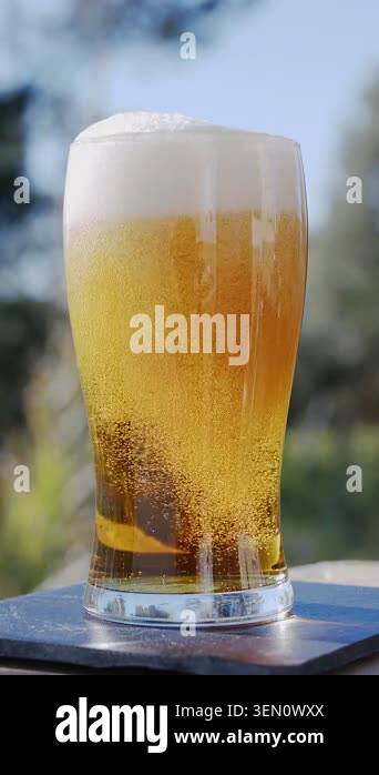 Pouring beer in the glass. Blurred green nature in the background Stock ...