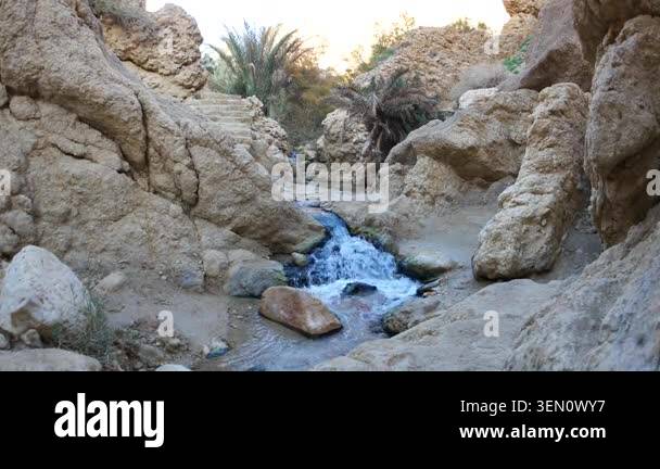 Small waterfall cascading through rocky canyon walls surrounded by palm ...