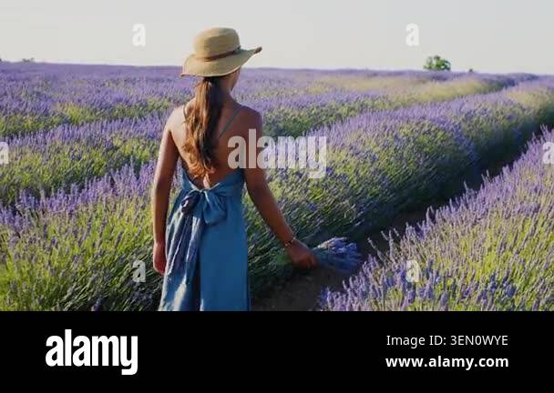 Girl in summer dress and straw hat walking through fragrant lavender ...