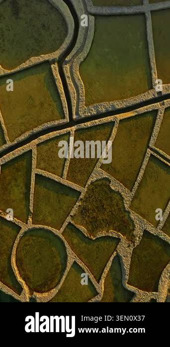 Aerial view of Xwejni Salt Pans. Expansive salt pans alongside a ...