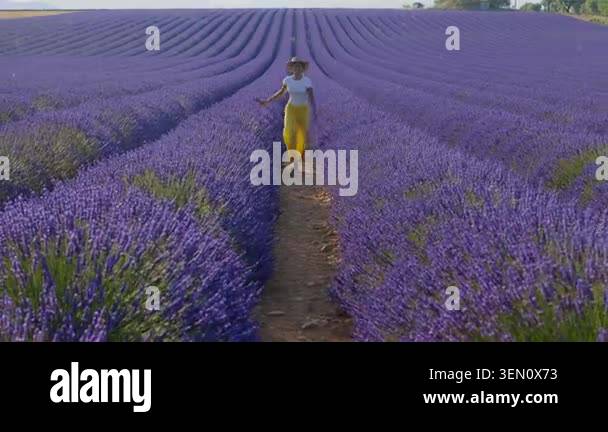 Girl in summer dress and straw hat walking through fragrant lavender ...