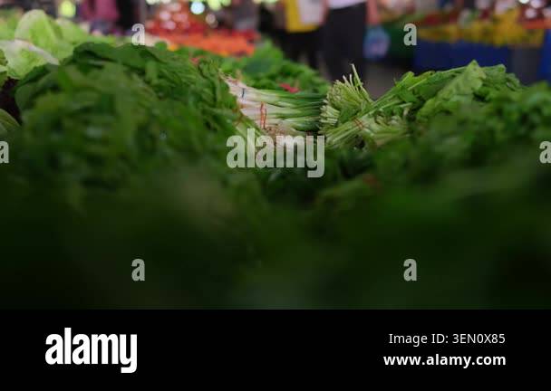 Bunches of fresh herbs and celery lined on market table, vibrant green ...