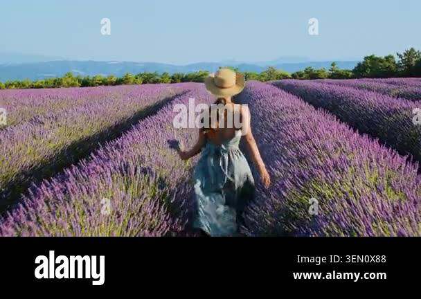 Girl is running through fragrant lavender bushes in the countryside ...