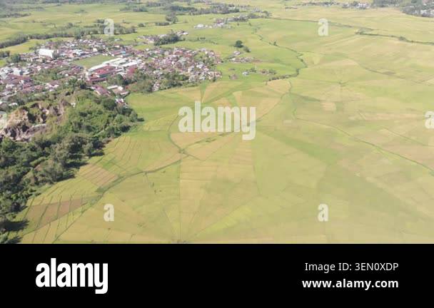 Aerial top view of the famous spider web rice paddies near Ruteng on ...