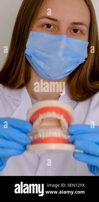 A dentist shows a model of a jaw. Selective focus. People Stock Video ...