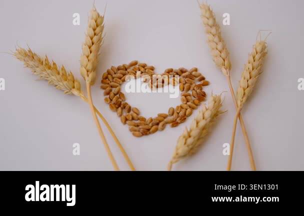 Wheat isolate on a white background. Selective focus. Nature Stock ...