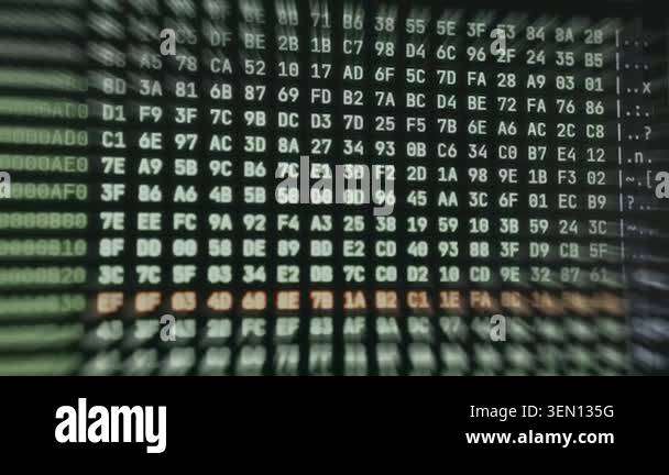 Hexadecimal dump, binary data in human-readable hexadecimal values ...