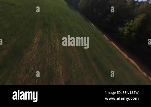 Dynamic FPV drone footage racing low over lush green grain fields ...