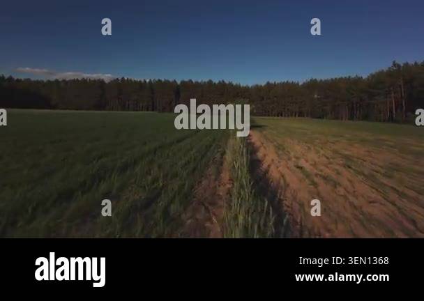Dynamic FPV drone footage flying low over plowed farmland and green ...