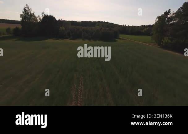 Dynamic FPV drone footage racing low over lush green crop fields with ...