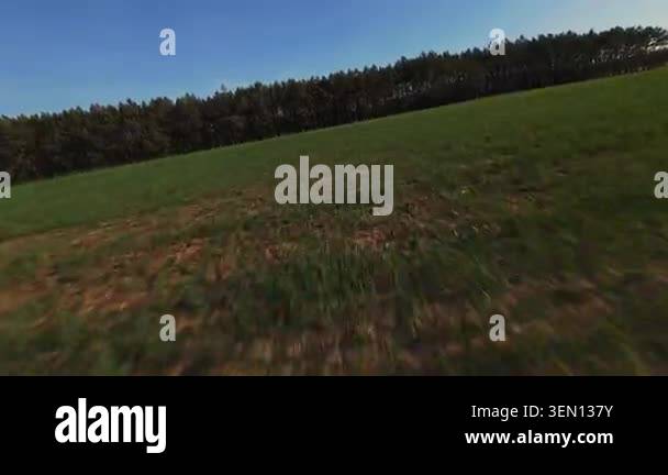 Dynamic FPV drone footage racing over green grain fields and plowed ...