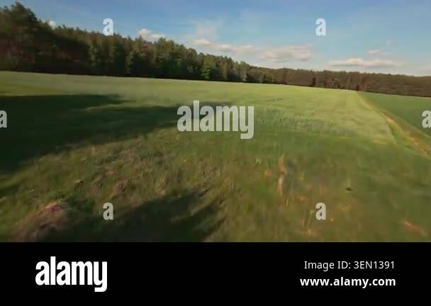 Fast-paced FPV drone footage flying low over ripening grain fields near ...