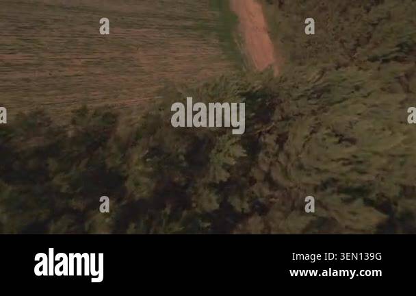 High-speed FPV drone footage flying over cultivated fields and dense ...