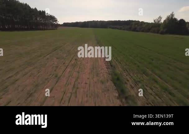 Dynamic FPV drone footage soaring over cultivated fields and forest ...