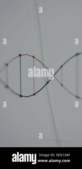 DNA double helix molecule represented in a scientific illustration ...