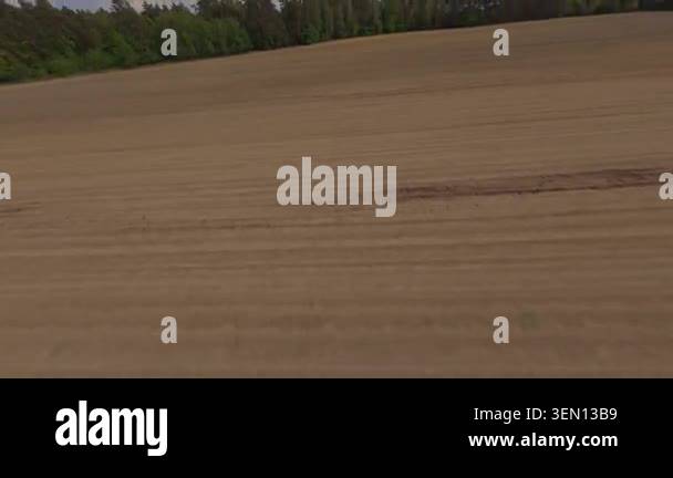 Drone footage showing coniferous forest blocks adjacent to cultivated ...