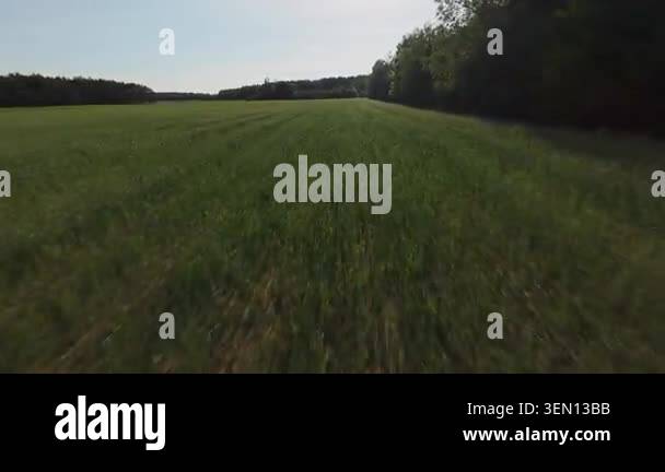 Fast-paced FPV drone footage racing over green crop fields bordered by ...