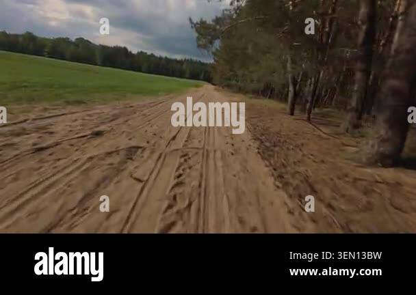 Dynamic drone footage capturing motion through forest trails and ...