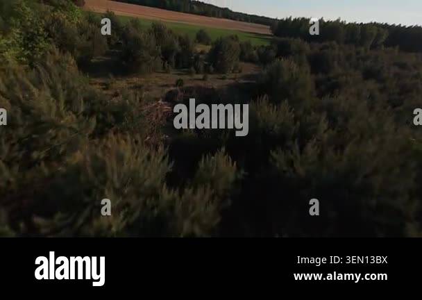 Dynamic FPV drone footage sweeping over green grain fields bordered by ...