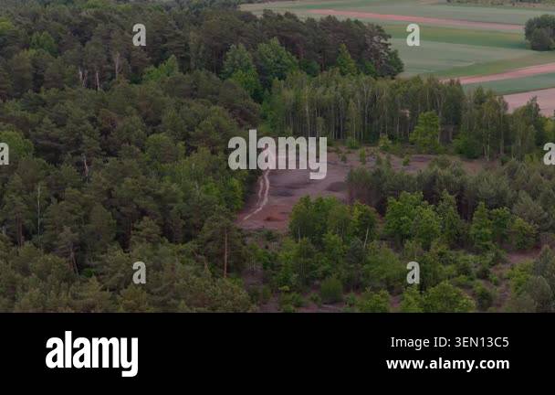 Drone footage shows mixed coniferous and deciduous forest with cleared ...