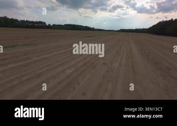 Drone footage of vast cultivated farmland with neat crop rows bordered ...