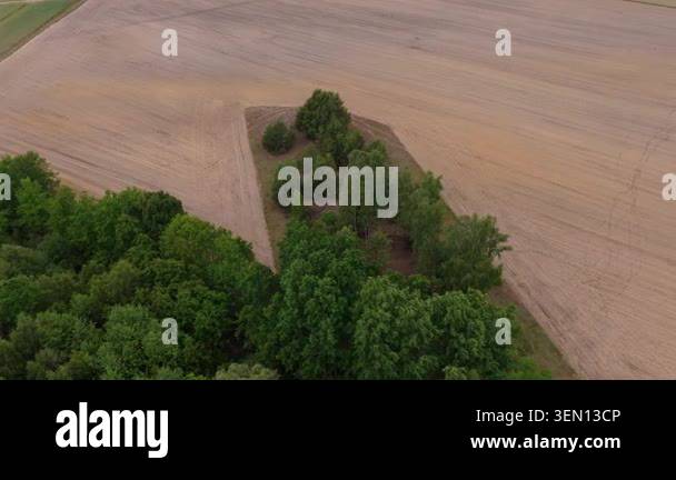 Drone footage shows small wooded island with tall trees surrounded by ...
