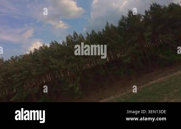 Dynamic aerial view of cultivated farmland with rows of growing crops ...