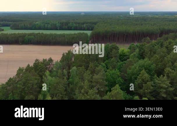 Drone footage showing vast mixed landscape with coniferous forests ...