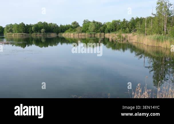 Biodiversity Haff Reimech, wetland and nature reserve in Luxembourg ...