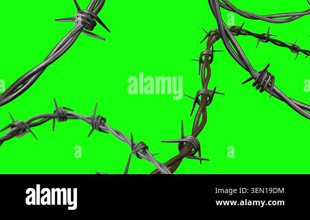 Barbed wire on a green screen and a black alpha channel. Suitable for ...