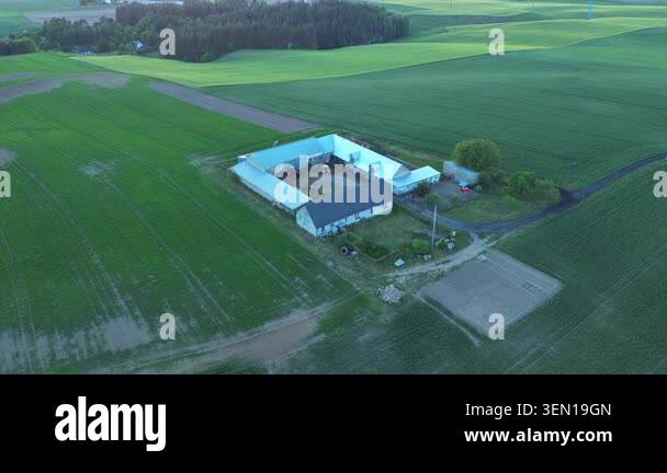 Aerial Footage of Suburban Residential Area with Trees and Forest Edge ...