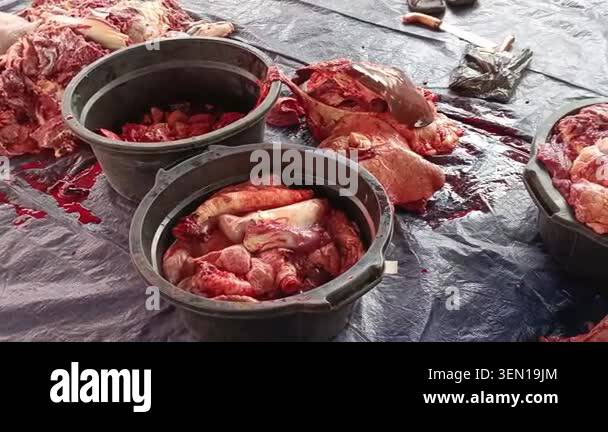 Fresh Raw Meat and Animal Organs in Buckets During Traditional Qurban ...