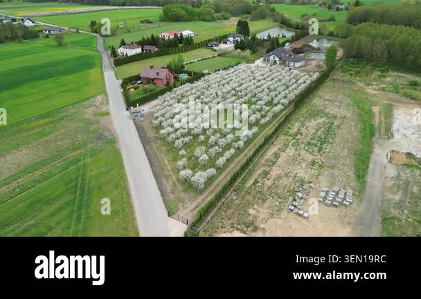 Aerial Footage of Rural Residential Area with Crossroads and Farmland ...