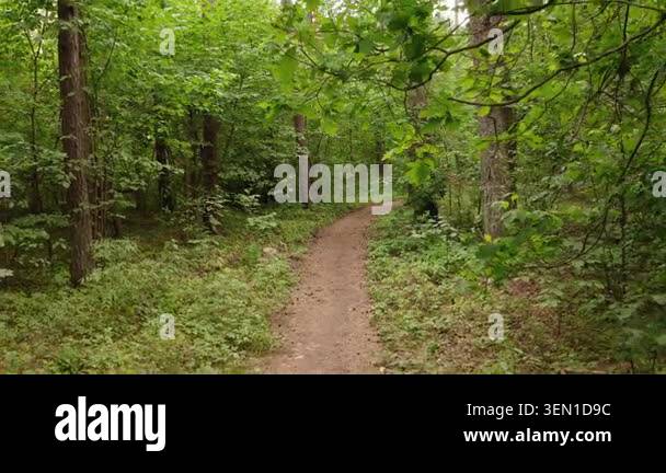 Low altitude drone flight over a forest path on a cloudy day Stock ...