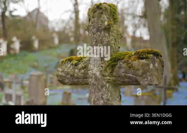 A stone grave cross covered with moss in an old cemetery. Close up ...